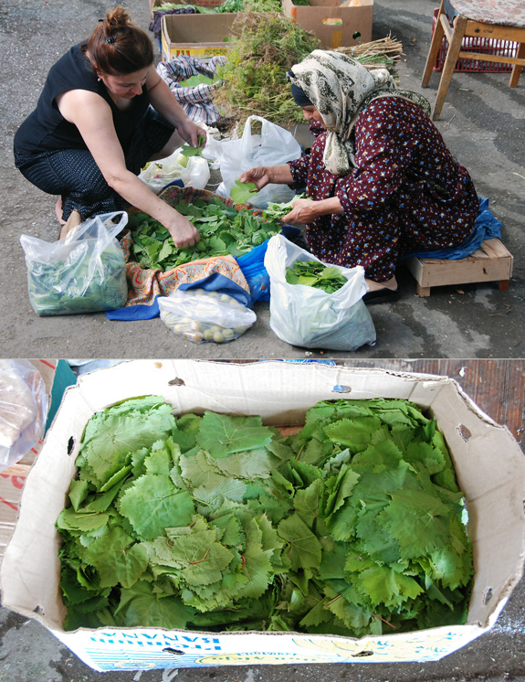 Taza Bazaar – Vine Leaves | Food Perestroika
