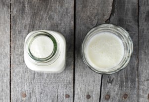 Kefir, the Probiotic Miracle from the Caucasus | Food Perestroika