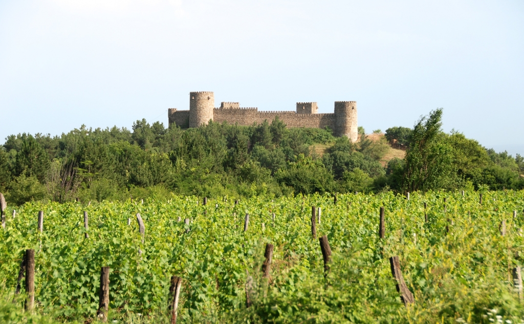 Georgia – Kakheti | Food Perestroika