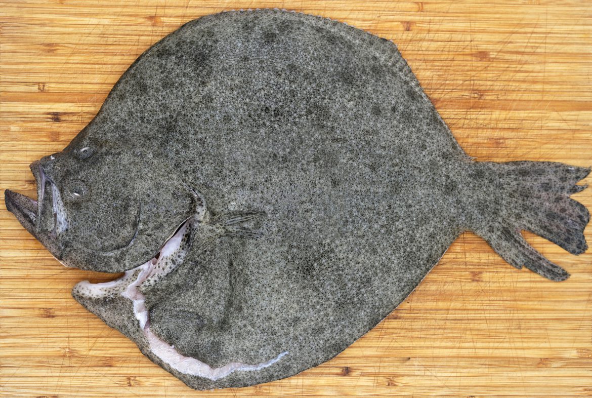 Roasted Turbot | Food Perestroika